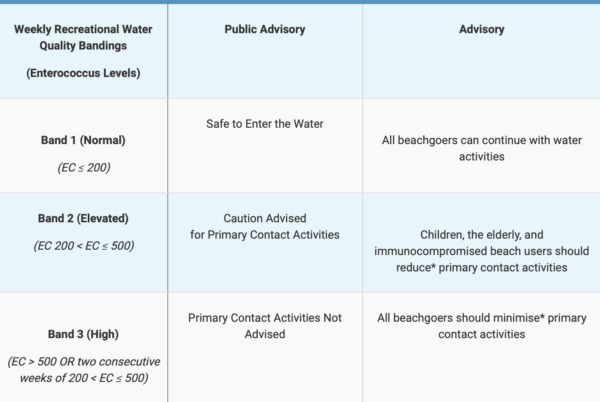 NEA Lets You Check Beach Water Quality Levels So You Don't End Up ...