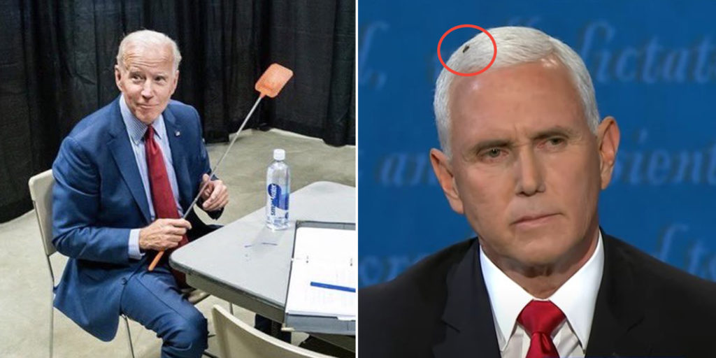Fly Lepaks On Mike Pence's Hair During US Debate, Biden Camp Now ...