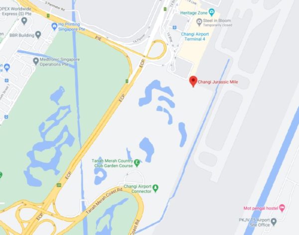 Helper Hit By Golf Ball At Changi Jurassic Mile, CAG Considers Putting ...