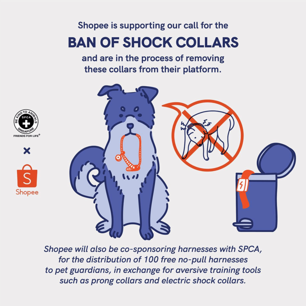 SPCA Offers Free Harnesses In Exchange For Shock Collars To Promote ...