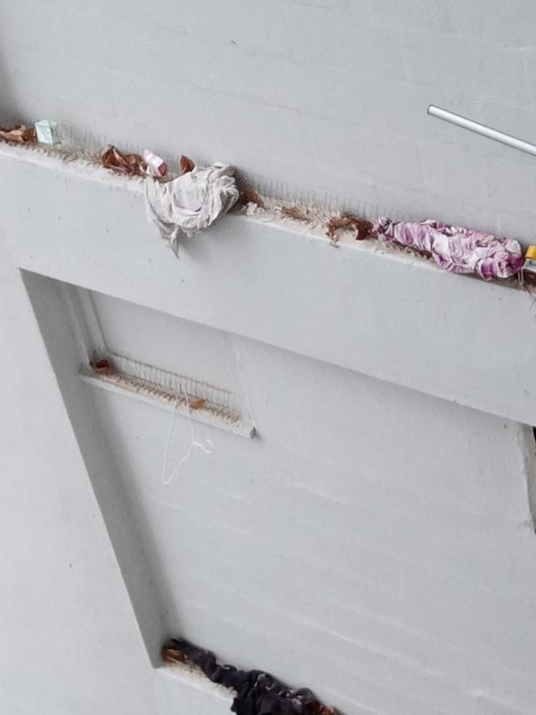 AMK HDB Block Spikes Collect Rubbish & Dirt, Resident Says No Action ...
