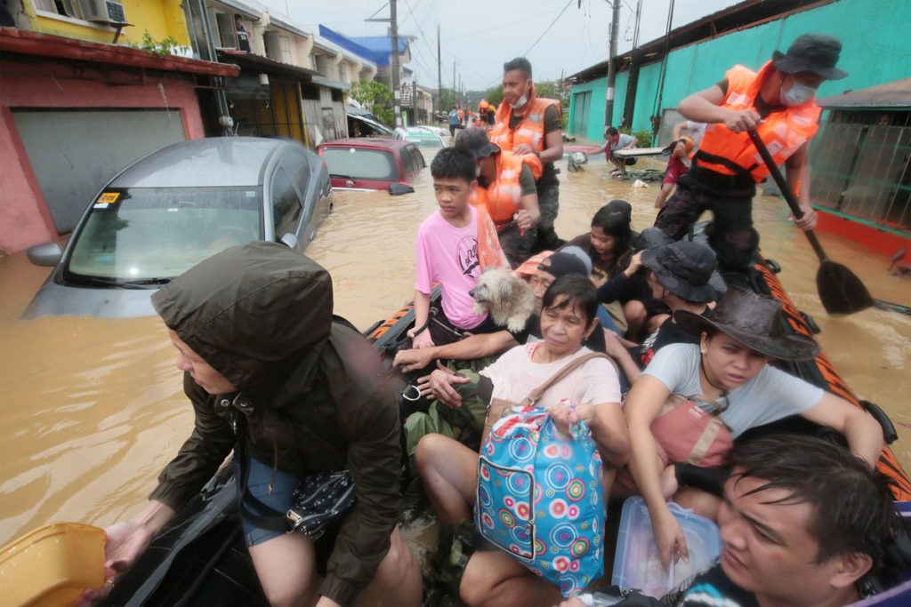 Dogs Stranded On Roof Of Philippines Shelter During Typhoon, Animal NGO ...