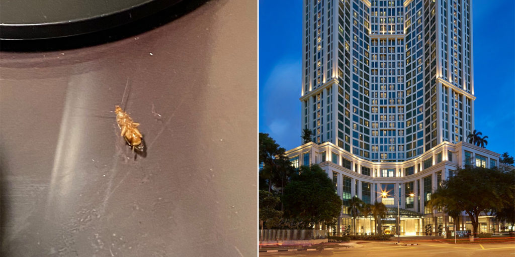 SHN Guest At Grand Copthorne Finds Cockroaches In 5 Rooms, Hotel Says ...