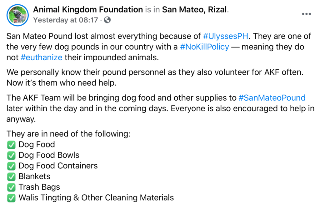 Dogs Stranded On Roof Of Philippines Shelter During Typhoon, Animal NGO ...