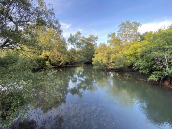 S’porean Captures Sungei Buloh As Dreamy Countryside, Gives Unique View ...