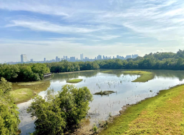 S’porean Captures Sungei Buloh As Dreamy Countryside, Gives Unique View ...