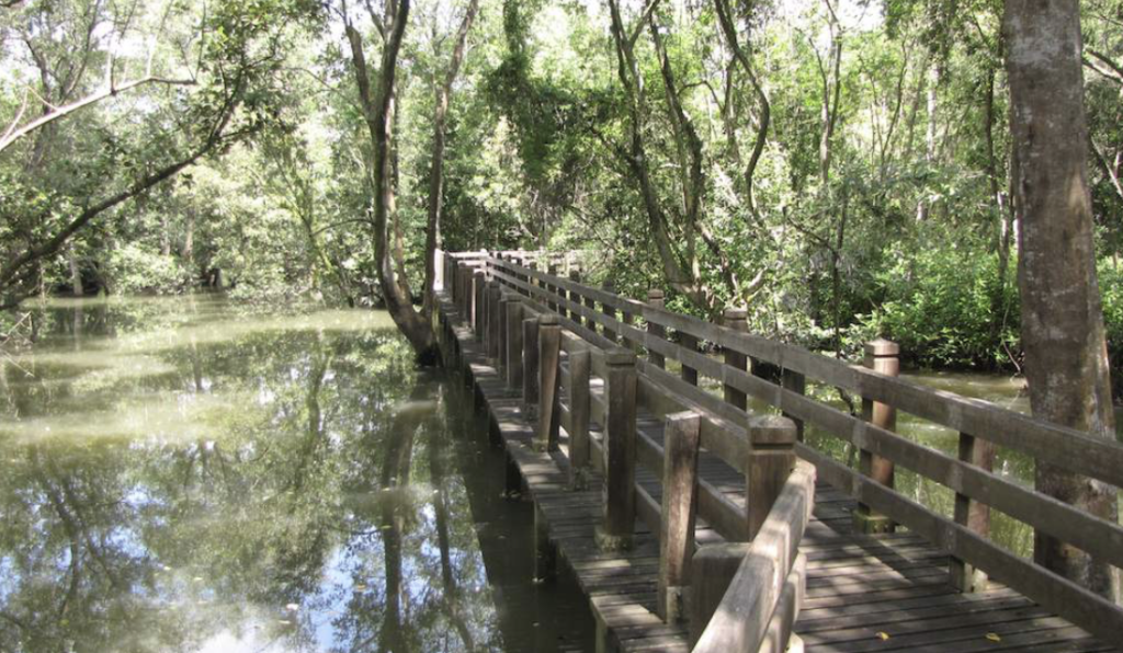 S’porean Captures Sungei Buloh As Dreamy Countryside, Gives Unique View ...