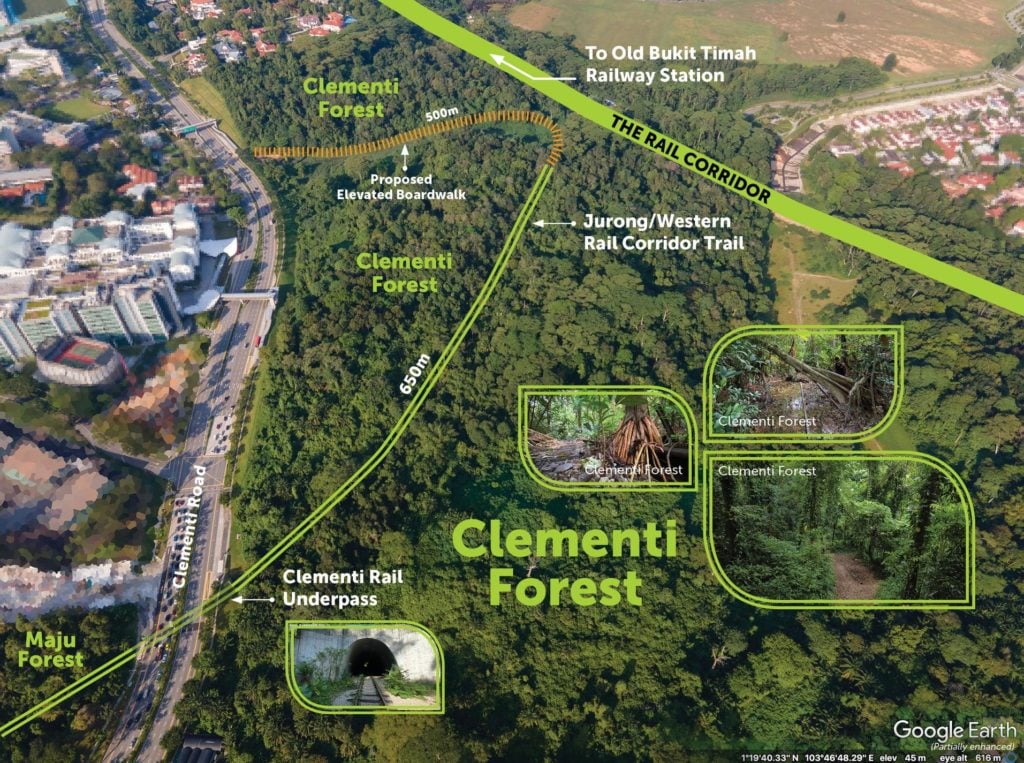 Clementi Forest Trail Proposed By Nature Lover, With Elevated Boardwalk ...