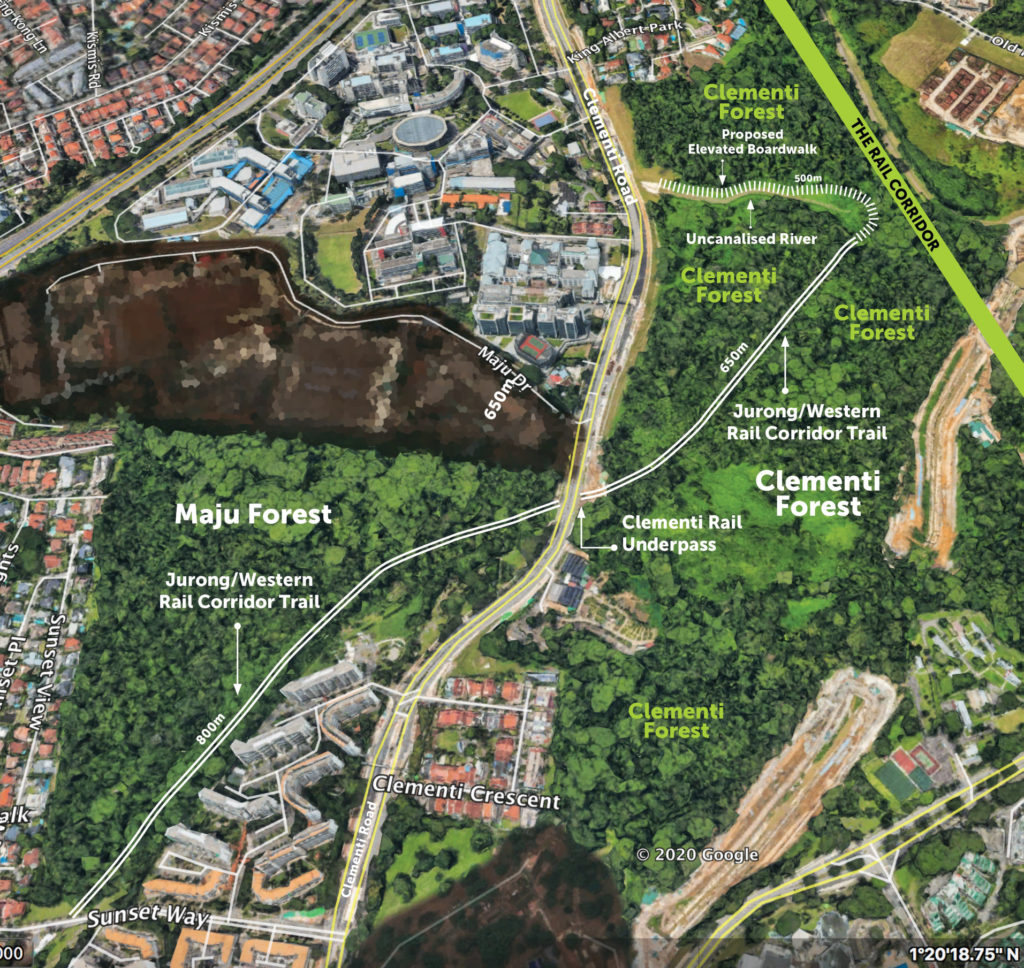 Clementi Forest Trail Proposed By Nature Lover, With Elevated Boardwalk ...