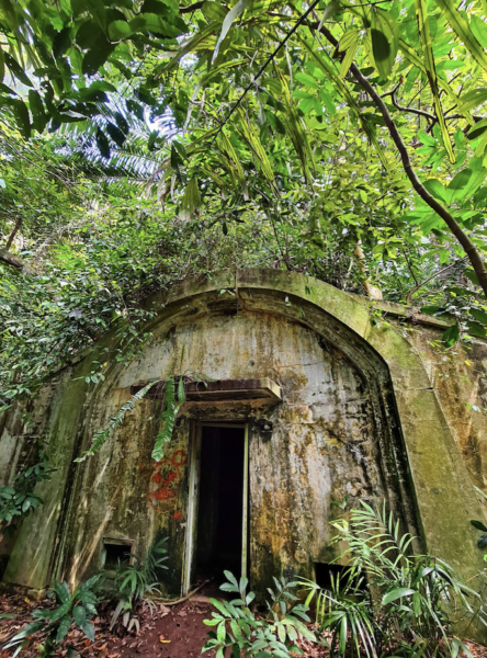 Hidden Bunkers In S'pore Look Straight From An Indiana Jones Movie, A ...