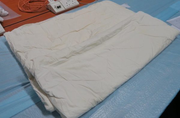 Ex-CAG Chairman's Son Accused Of Giving False Info Against Parti Liyani ...