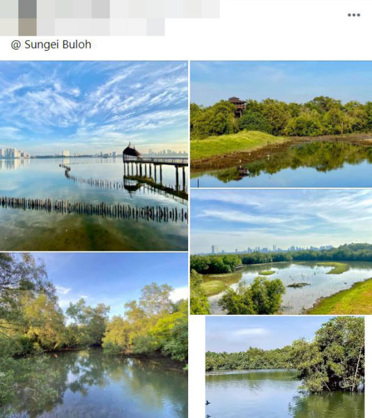 S’porean Captures Sungei Buloh As Dreamy Countryside, Gives Unique View ...