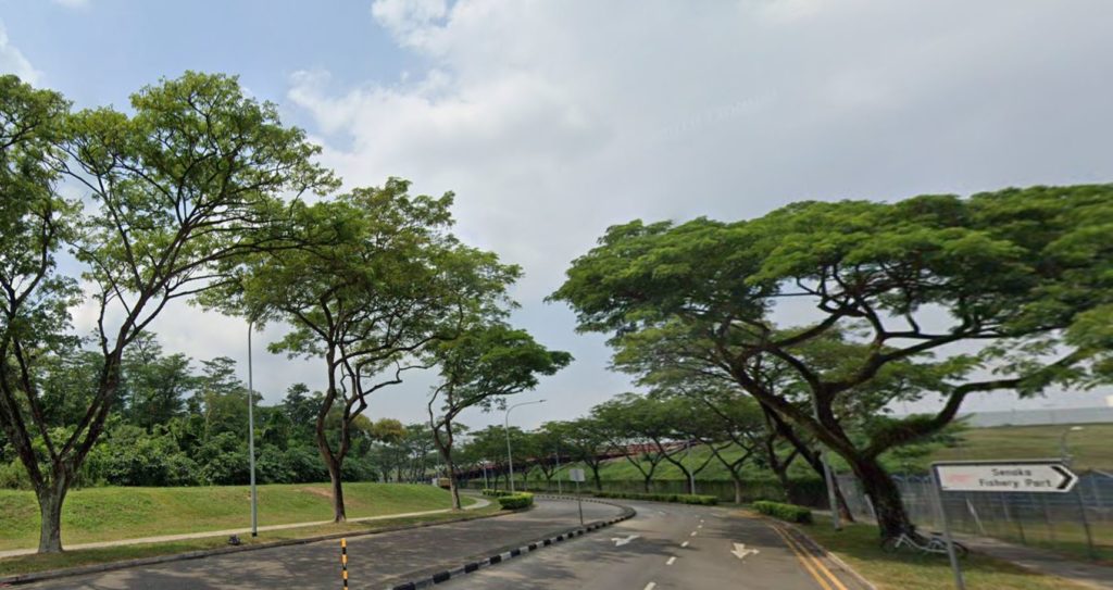 AVS Says Suspicious Man In Woodlands Is A Dog Feeder, Canines In Bags ...