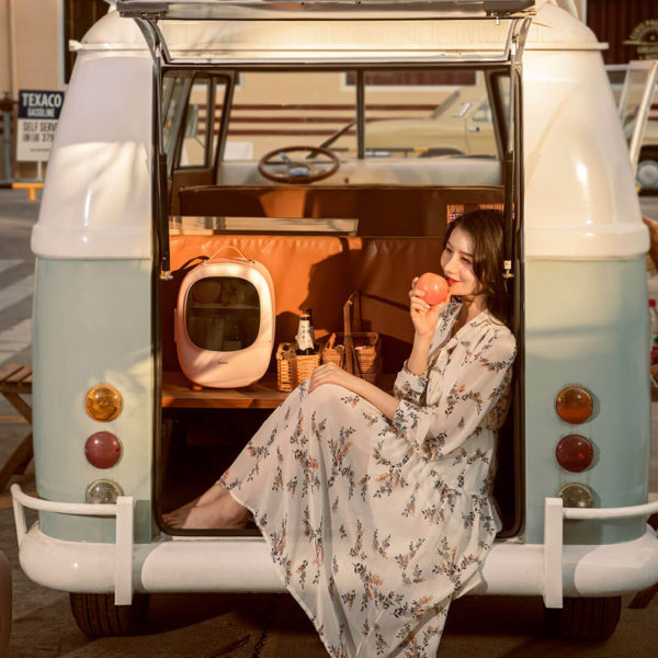 This Portable Mini Fridge Bag Keeps BBTs & Ice Cream Chilled For Marina ...