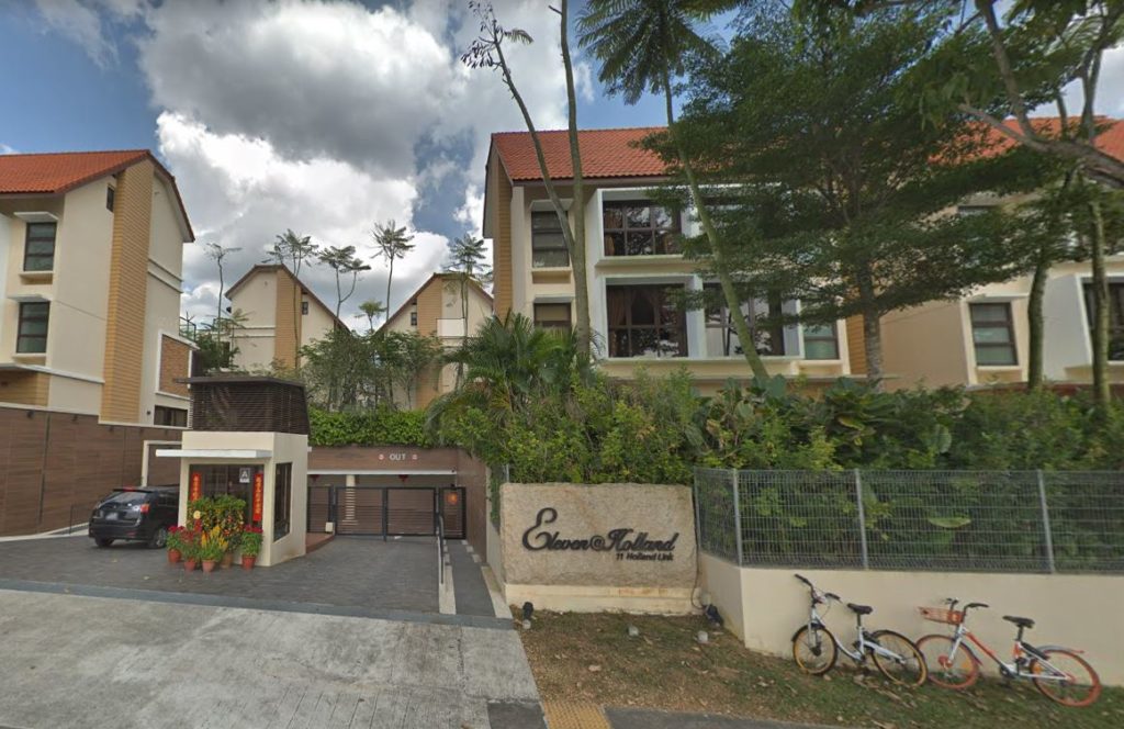 Pet Dog Gets Swallowed By Python Outside Holland Road Condo, ACRES ...