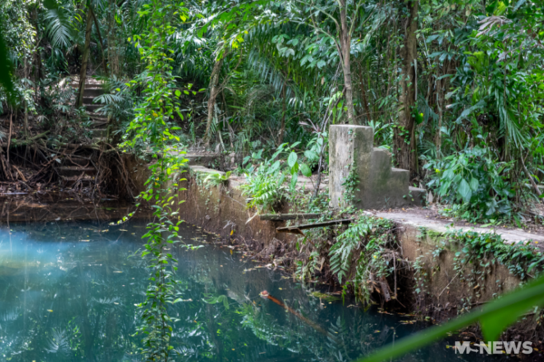 Telok Blangah Hiking Trail Leads To Forgotten Colonial Reservoir ...