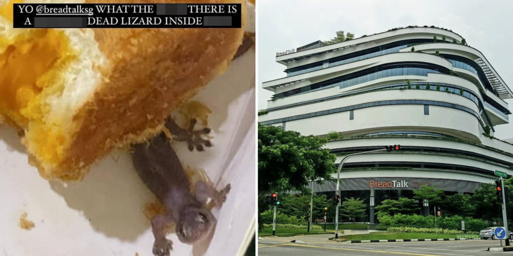 Woman Finds Dead Lizard In Box Of Buns, BreadTalk Resolves Matter ...