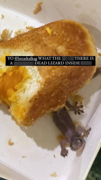 Woman Finds Dead Lizard In Box Of Buns, BreadTalk Resolves Matter ...