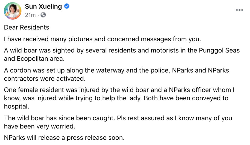 Wild Boar Attacks Punggol Resident & NParks Officer On 26 Feb, Gets ...