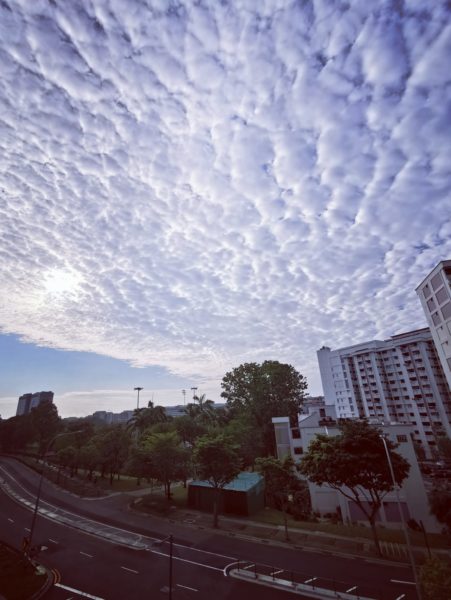 S’pore Wakes Up To Fluffy Small Clouds On 18 & 19 Mar, They Look Like ...