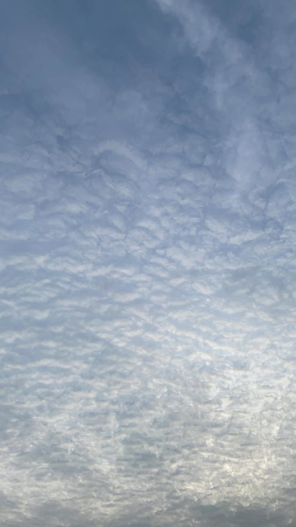 S’pore Wakes Up To Fluffy Small Clouds On 18 & 19 Mar, They Look Like ...
