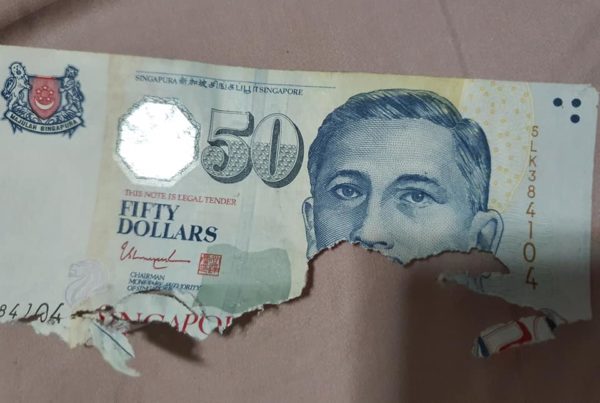 Naughty Hamster Nibbles On Owner's $50 Bill, She Seeks Advice On How To ...