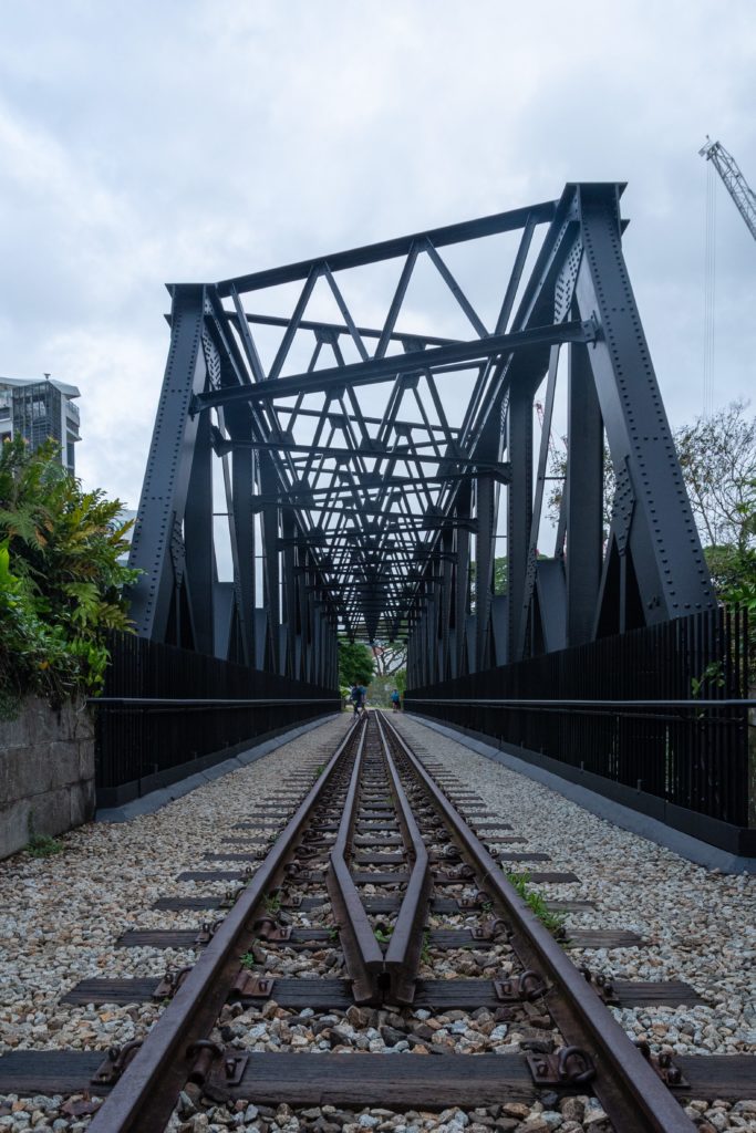 Rail Corridor Between Bukit Timah Truss Bridges Reopens, Now Has ...