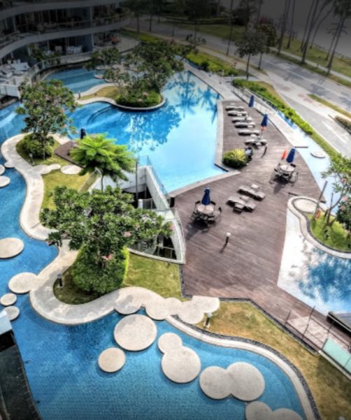 Otter Family Takes A Dip In Luxe Sentosa Condo Pool, Has Fun Day Living ...