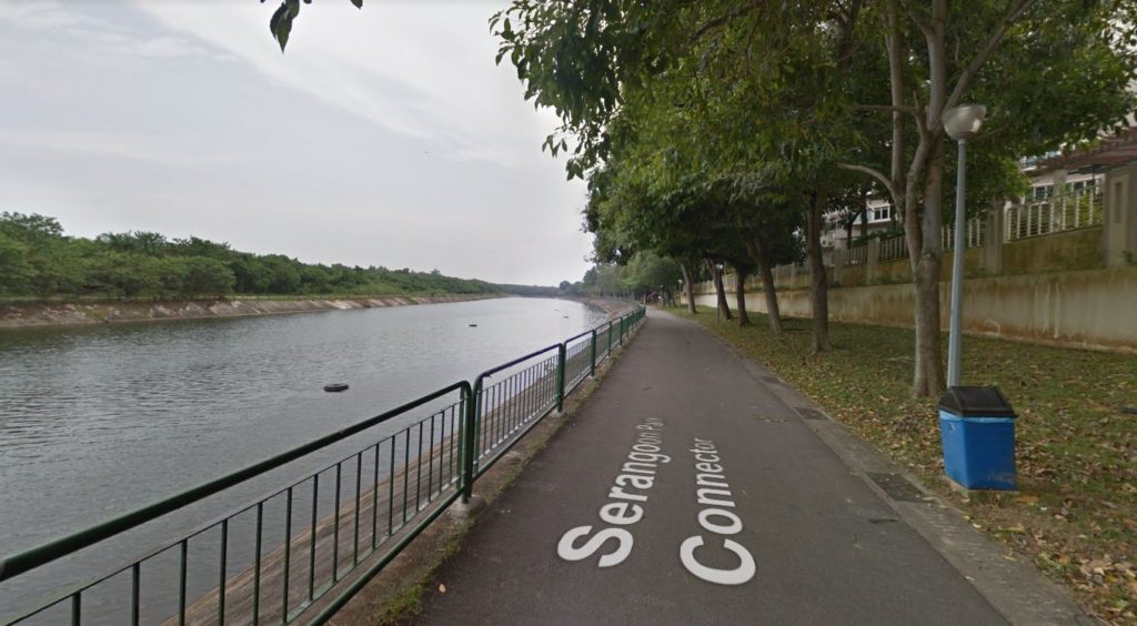 'Sakuras' Seen Along Serangoon Park Connector Are A Delight For Those ...