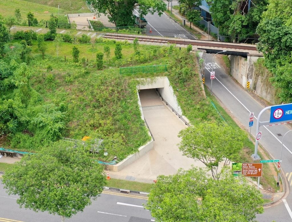 Rail Corridor Between Bukit Timah Truss Bridges Reopens, Now Has ...