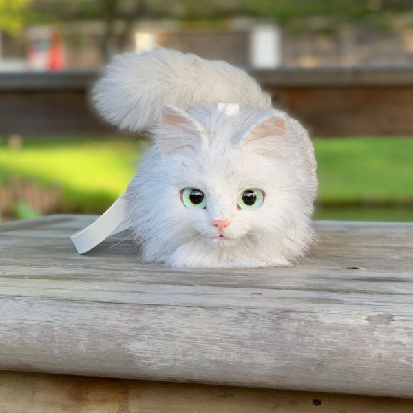 This Catpack Has Captivating Eyes & Fur That Will Fool Feline Lovers ...