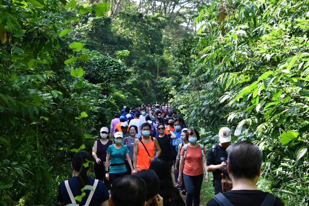 Nature Trails In S'pore Swarmed With People On 2 Apr, Check Crowd ...