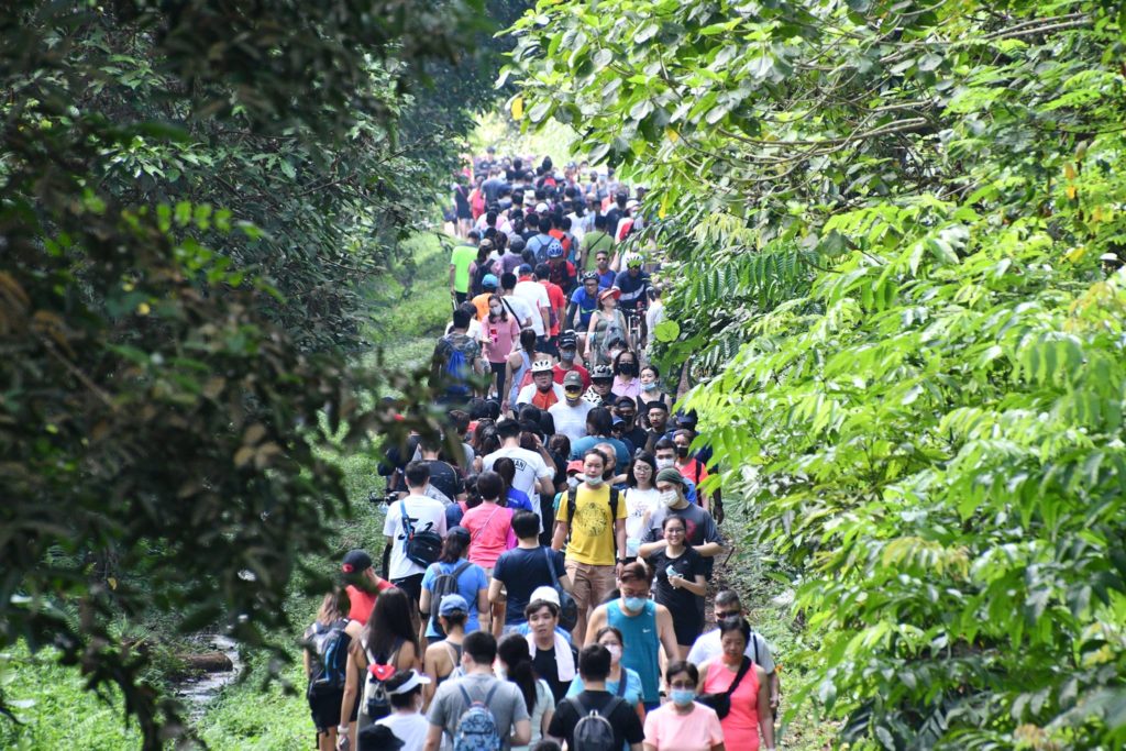 Nature Trails In S'pore Swarmed With People On 2 Apr, Check Crowd ...