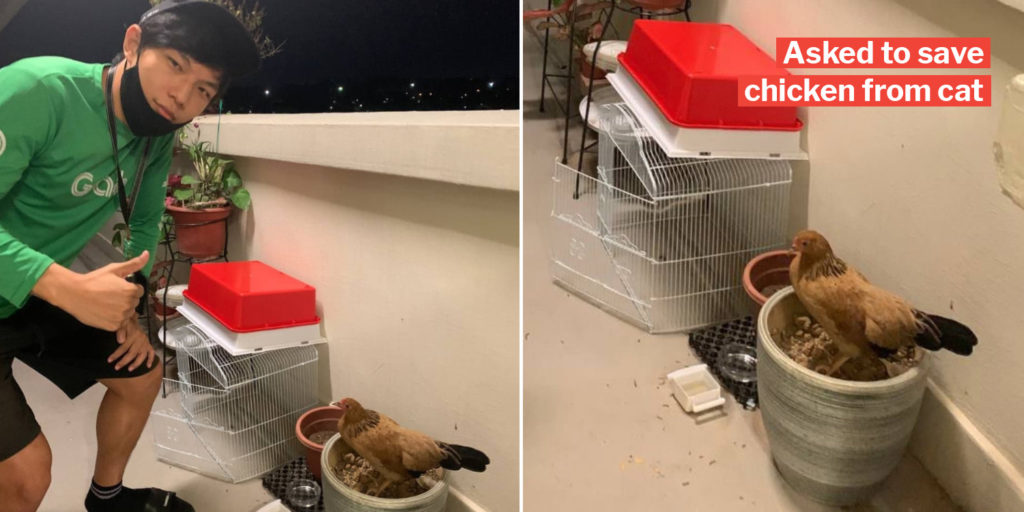 GrabFood Rider Helps Geylang Resident Secure Their Chicken Even Though ...