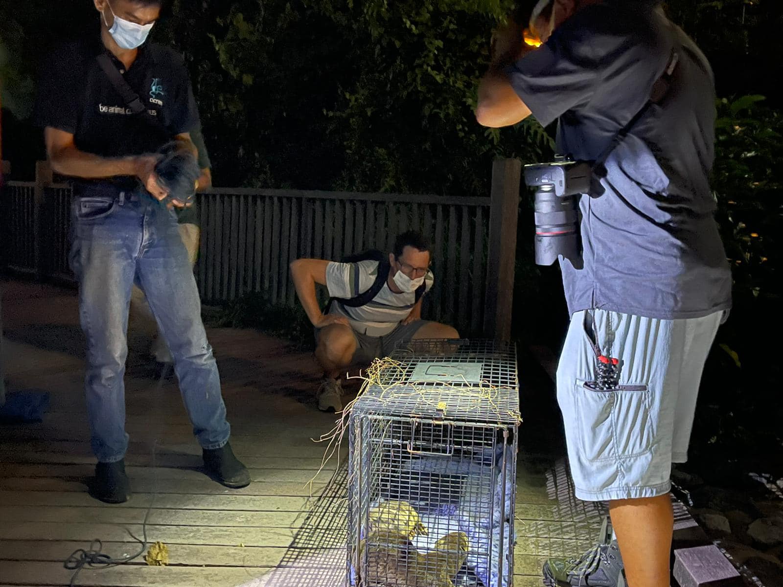 Stranded Changi Otter Pups Reunited With Family, Rescuers Worked For 7 ...
