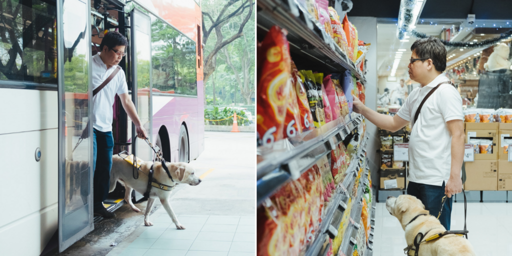 Guide Dogs Apparently Still Rejected From Many S’pore Shops, Charity ...