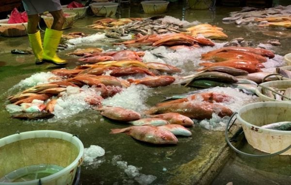 Jurong Fishery Port Infections Likely Came From Foreign Boats, Rules ...