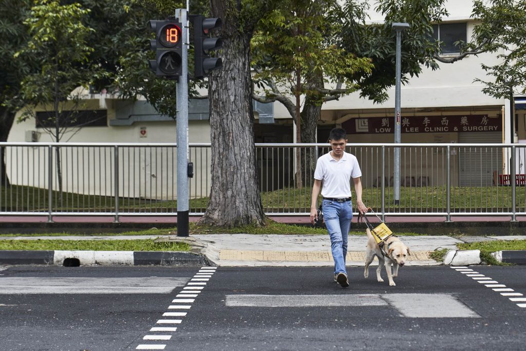 Doggo From Osaka Is S'pore's Newest Guide Dog, Her Earnest Smile Brings ...
