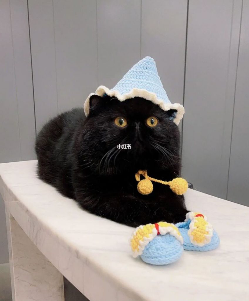 Chonky Black Cat Is A Big Floof With Yellow Eyes, Puffball Wins ...