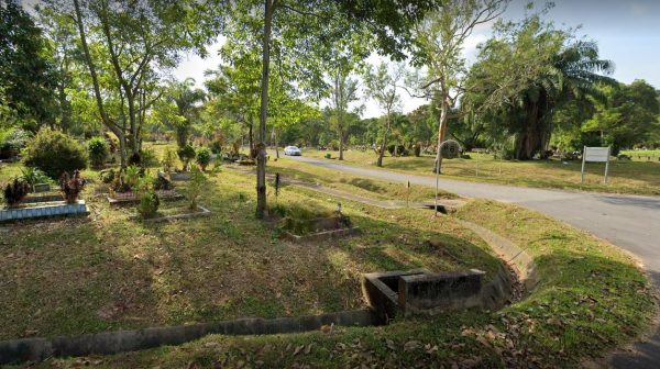 NParks Gets 200 Complaints About Cobras In S'pore, Says Snakes Won’t ...