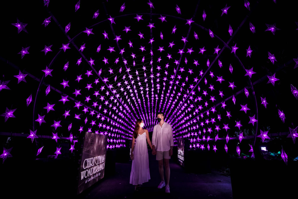 Christmas Wonderland 2021 Has A Dazzling LED Castle, Bridge & Carriage ...
