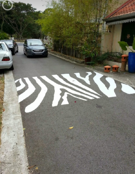 S'pore Man Paints Zebra Crossing To Resemble Actual Pattern, Netizens ...