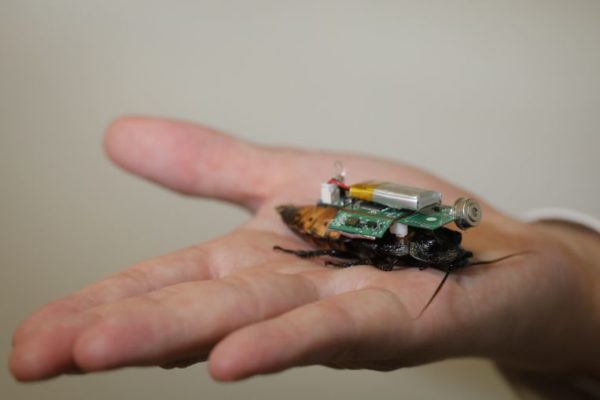 NTU Team Equips Cockroaches With ‘Backpacks’ That Detect Life Signs At ...