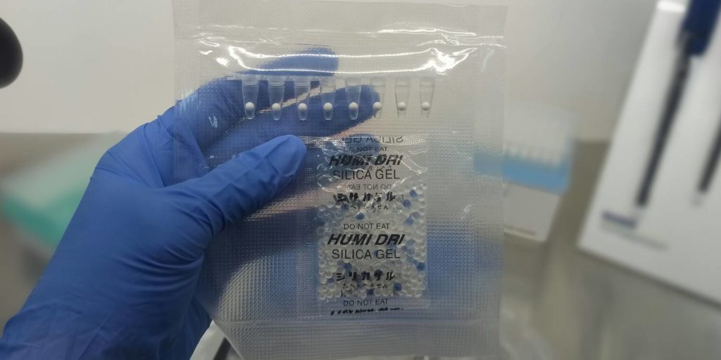 S'pore Firm Launches 1st Omicron Covid-19 PCR Test Kit, Will Help Speed ...