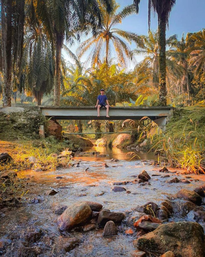 Rainforest Resort Near Ipoh Has Lakeside Chalets & Natural Hot Springs ...