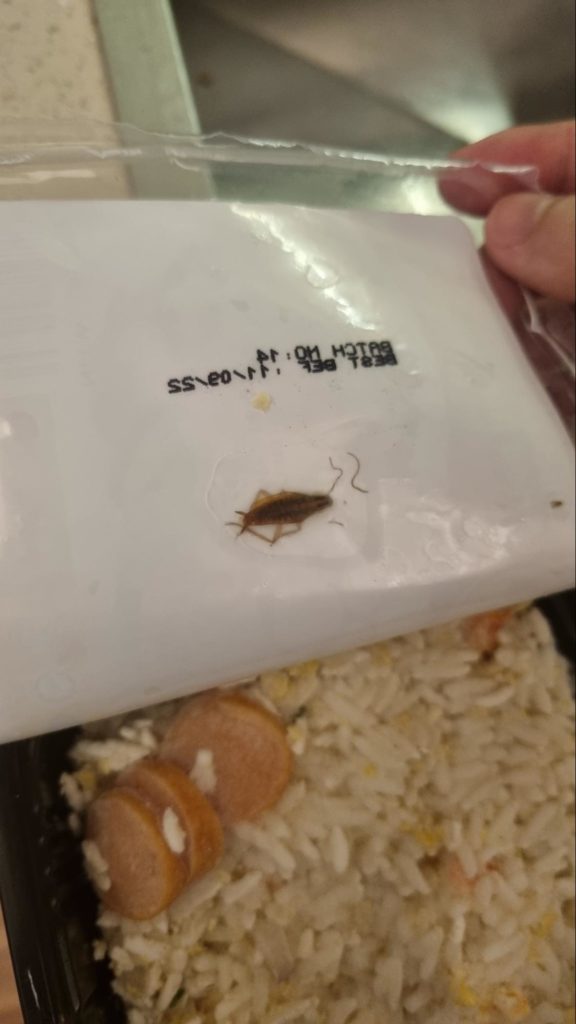 Man Finds Cockroach In CP Ready-To-Eat Fried Rice, Reports Incident To SFA