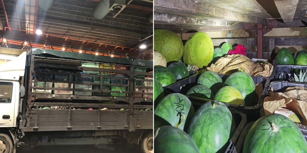 ICA Finds Duty-Unpaid Cigarettes Hidden In Watermelon Crates, Efforts ...
