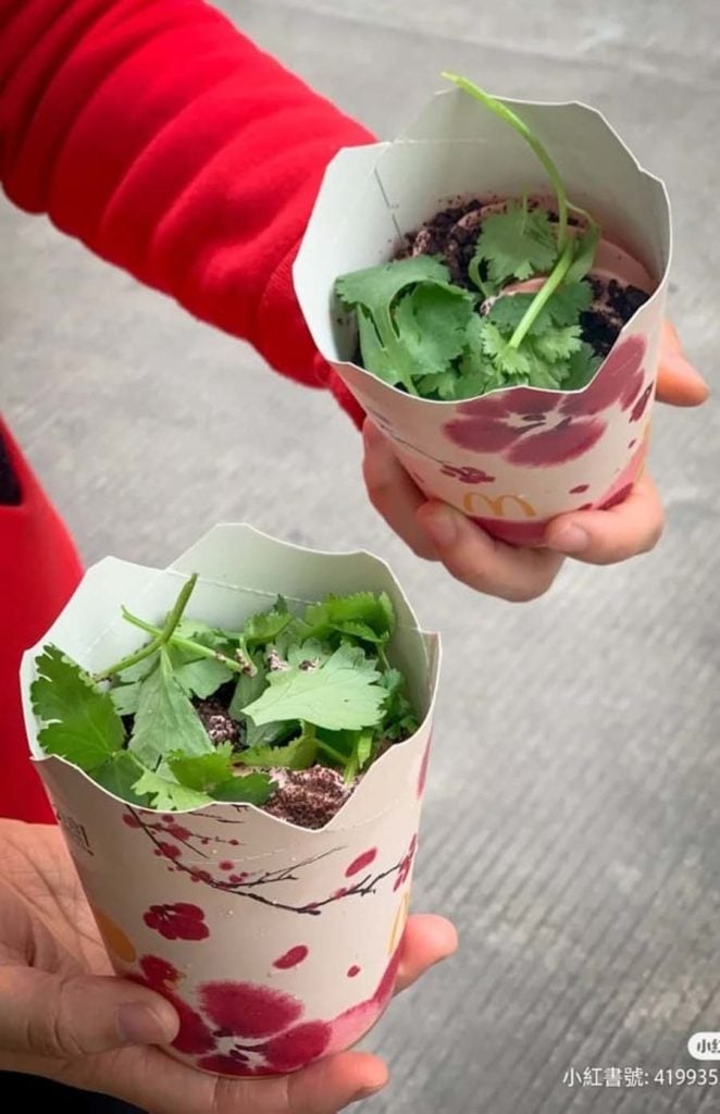 McDonald’s China Has Coriander Sundaes, Lose Your Chill Over These ...