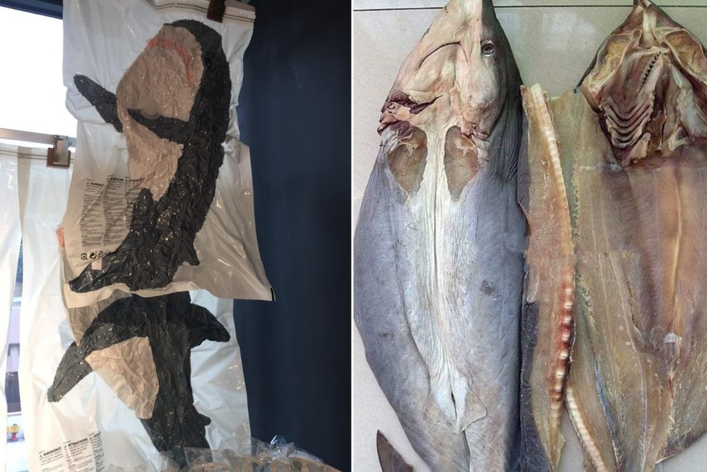 IKEA HK Squashes Shark Plushies To Promote Vacuum-Sealed Bags, Now They ...