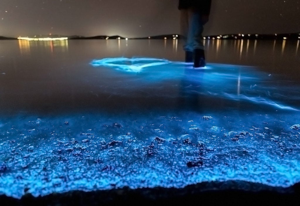 Waves At S’pore Beach Glow Blue At Night, Look Like A Magical Light Show